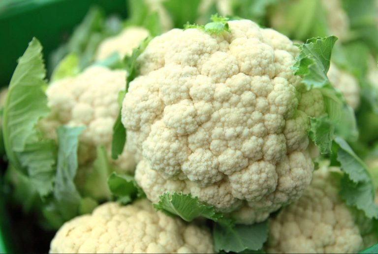 Recetas saludables con coliflor: descubre cómo preparar deliciosos ...