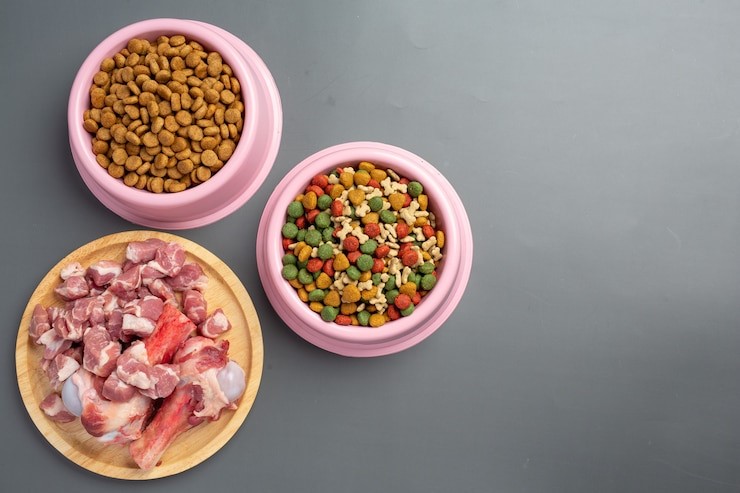 Comida para perros: 3 ideas nutritivas - Delicias en Casa